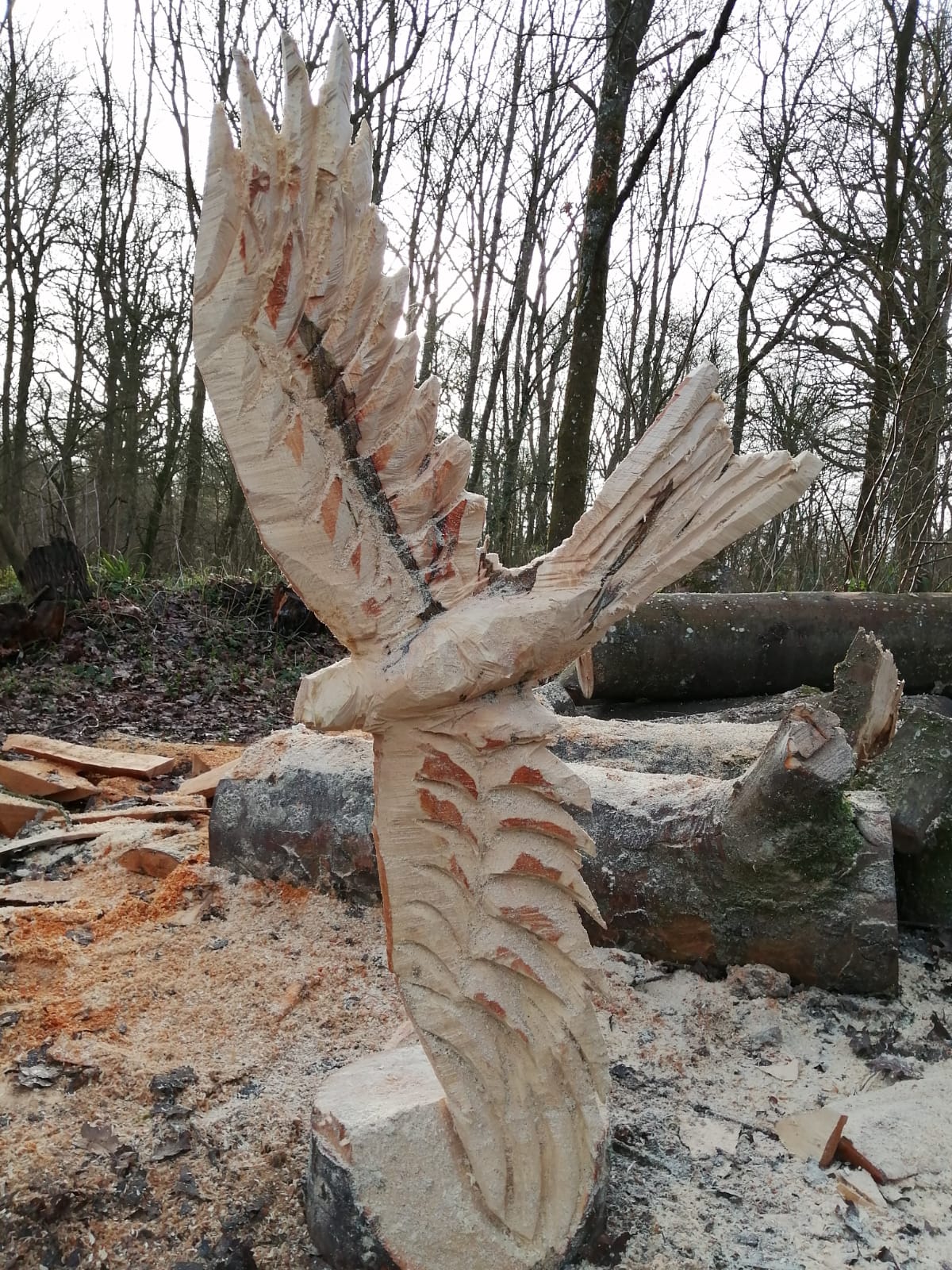 Tree Sculpture Competition & trail update - Chippenham Borough Lands ...