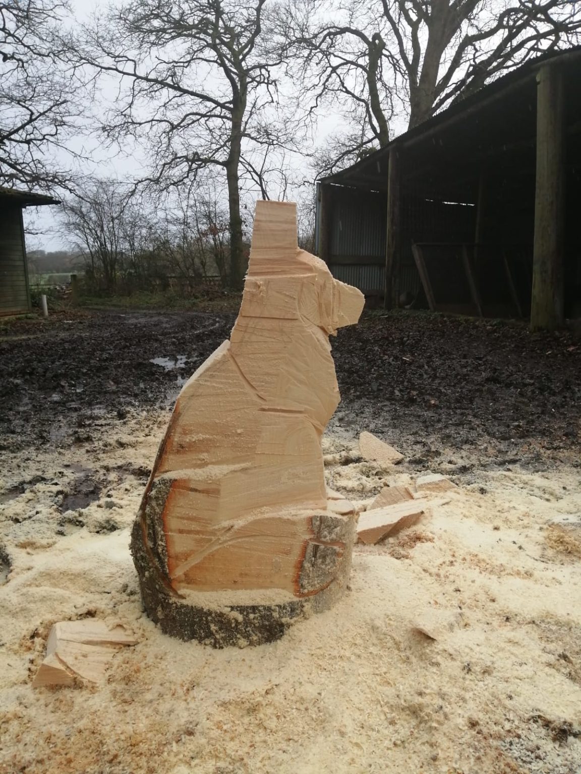 Tree Sculpture Competition & trail update - Chippenham Borough Lands ...
